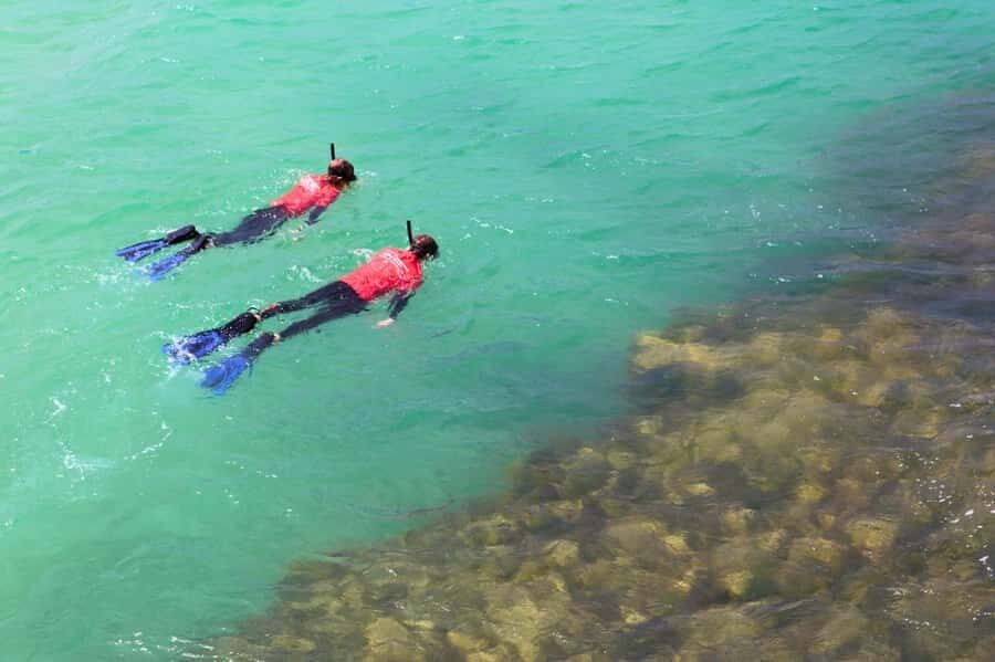 Adelaide: Fleurieu Snorkel & Beer Safari - What Travelers Say