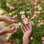 Adelaide: Guided Cultural Tour of Adelaide Botanic Garden - Authentic Insights from Reviews