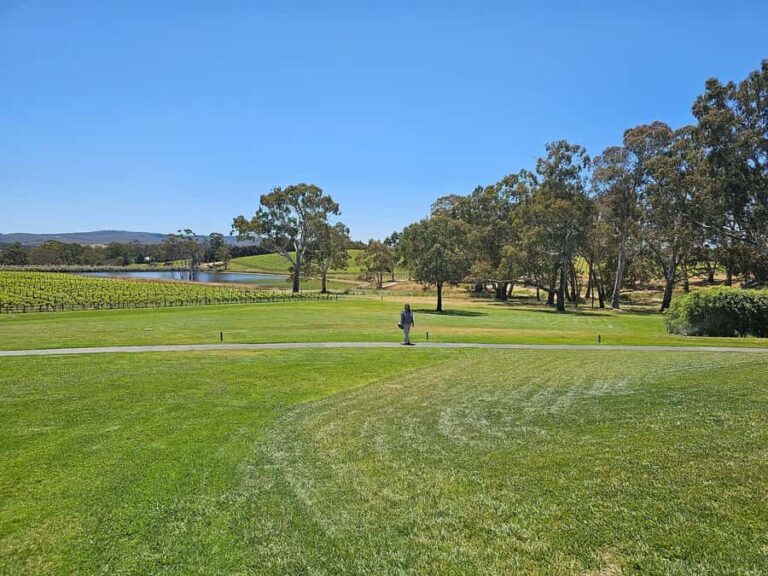 Adelaide: Hahndorf & Hills Wine and/or Gin Tour - Scenic Drives Through Charming Hill Villages