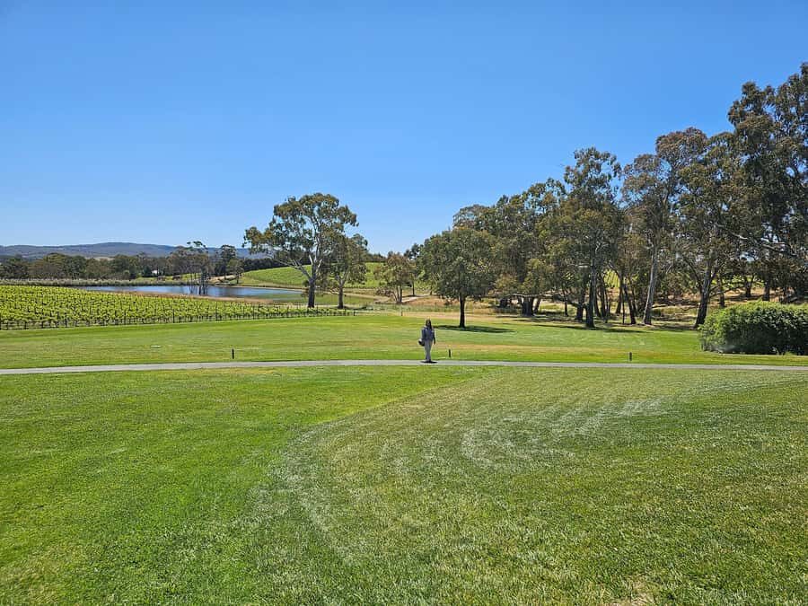 Adelaide: Hahndorf & Hills Wine and/or Gin Tour - Scenic Drives Through Charming Hill Villages