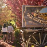 Adelaide: Highlights, Hahndorf & McLaren Vale Wine Tasting - Why This Tour Offers Great Value