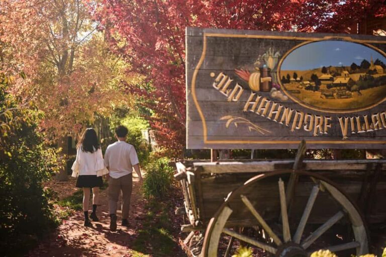 Adelaide: Highlights, Hahndorf & McLaren Vale Wine Tasting - Why This Tour Offers Great Value