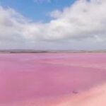 Adelaide Highlights: Wine, Whispering Wall & Pink Lake Tour - The Value of the Experience