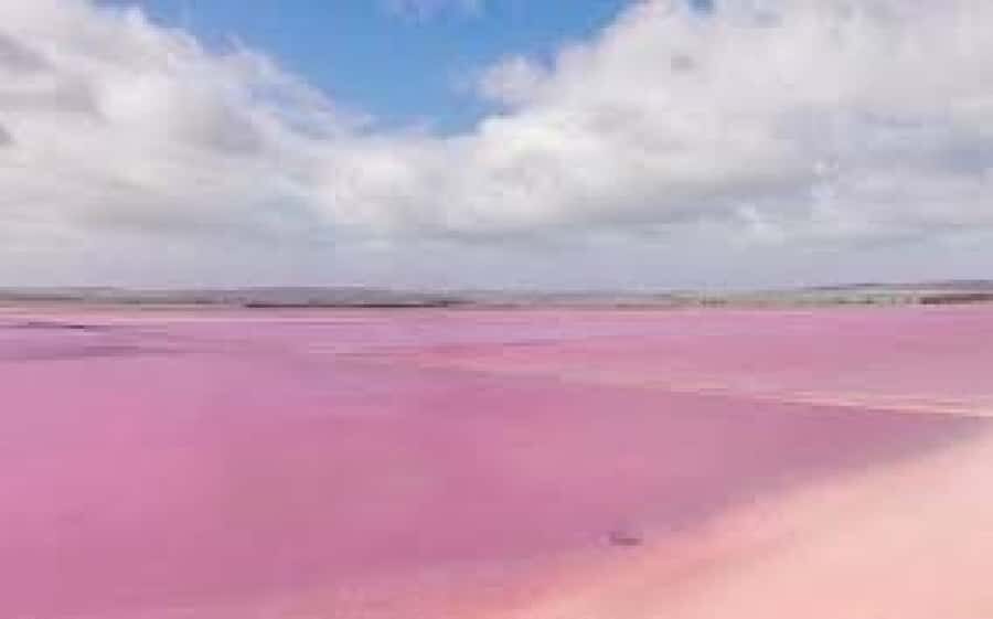 Adelaide Highlights: Wine, Whispering Wall & Pink Lake Tour - The Value of the Experience