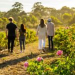 Adelaide Hills: Jurlique Farm Tour - Practicalities and What to Expect