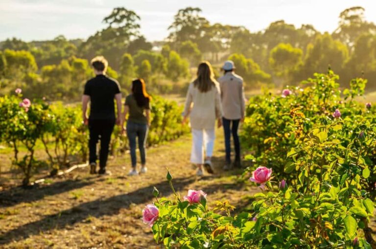 Adelaide Hills: Jurlique Farm Tour - Practicalities and What to Expect