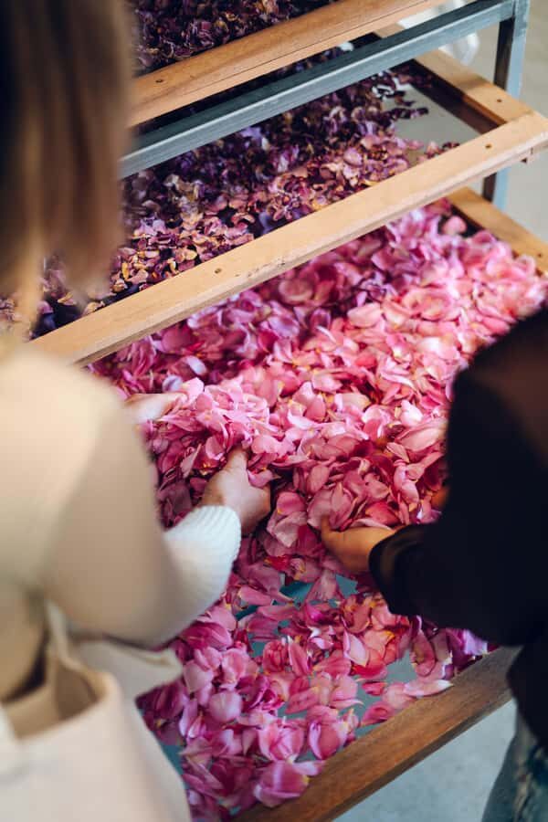 Adelaide Hills: Jurlique Private Immersion - Practical Details and What to Know Before You Go