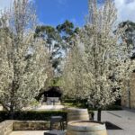 Adelaide Hills Tour - Practical Details and Value
