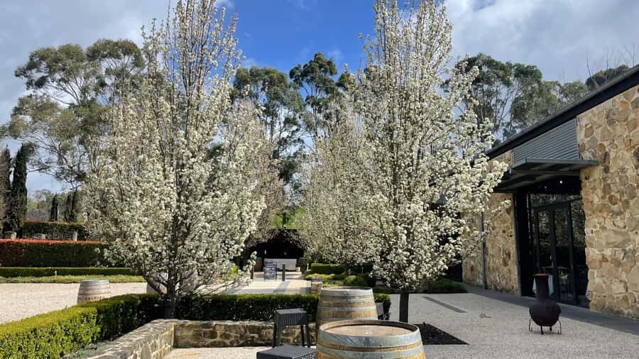 Adelaide Hills Tour - Practical Details and Value