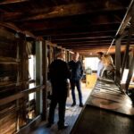 Adelaide Oval Stadium Tour - Why This Tour Offers Real Value