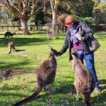 Adelaide: Premium Adelaide Hills Cleland and Hahndorf Tour - The Value of the Experience