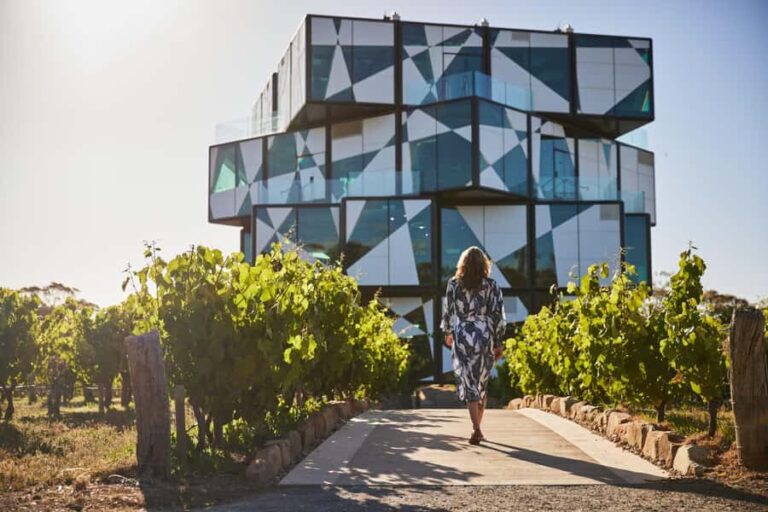 Adelaide: Premium McLaren Vale Wine and Brew Minibus Tour - What to Expect on the Day