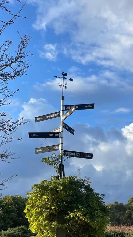 Adelaide: Private Boutique Wine Tasting & Sightseeing Tour - Why Choose This Tour?