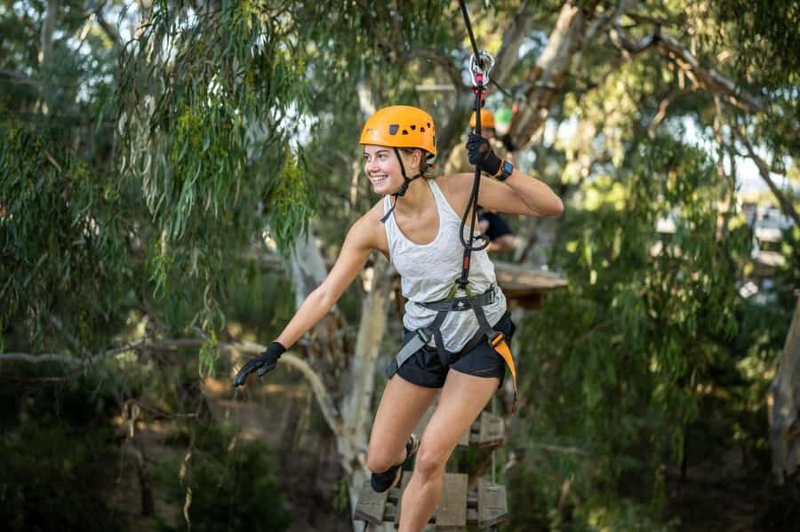 Adelaide: TreeClimb Adventure - What to Expect During the Activity
