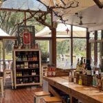 Adelaides Must do tours for Cruise Passengers  Arrive on Time - Authentic Experiences & Hidden Gems