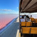 Admission Ticket to Safari in the Pink Lagoons of Las Coloradas - Price and Value: Is It Worth It?