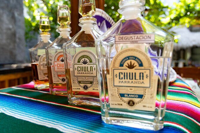 Adrenaline Adventure Puerto Morelos - The Real Value of This Tour