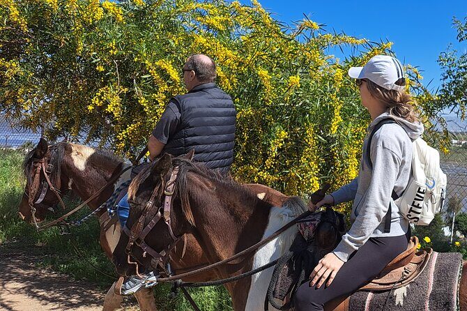Adventure Delight The Ultimate Combo Ride at Desert Trails - The Guides and Group Experience