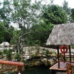 Adventure Experience in Three Cenotes and Tequila Tasting - Practical Details and What to Expect