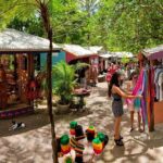 Adventure on a Budget Visit Kuranda or Palm Cove from Pt Douglas - What Sets This Tour Apart