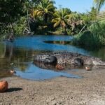 Adventure on the Emerald Coast Ventanilla, Mazunte, Puerto Ángel - What’s Included and What’s Not