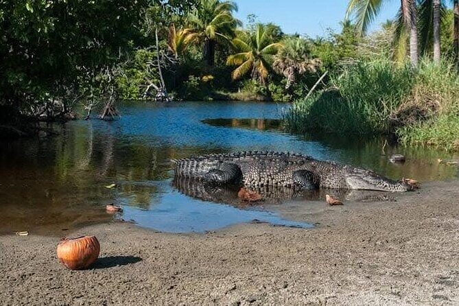 Adventure on the Emerald Coast Ventanilla, Mazunte, Puerto Ángel - What’s Included and What’s Not