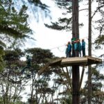 Adventurous Zipline Tour in Coromandel - The Itinerary in Detail