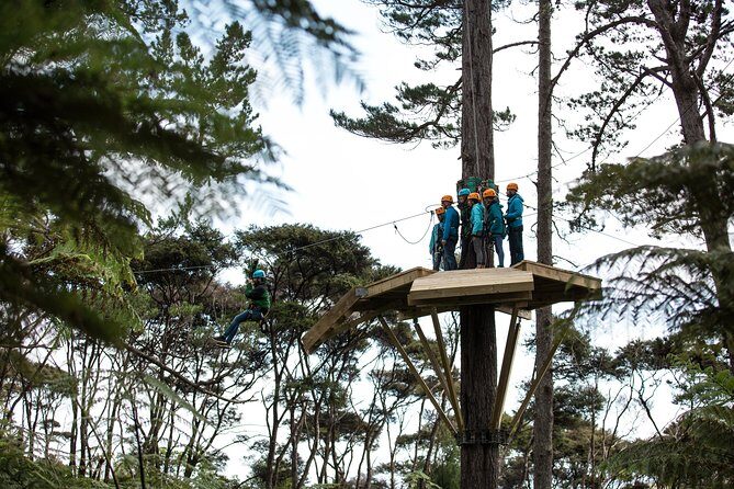 Adventurous Zipline Tour in Coromandel - The Itinerary in Detail