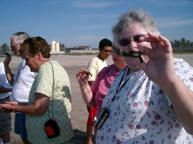 *Afro-Mex Village Horse Ride, Turtle Release Crocodile Farm - What to Expect in Detail