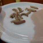 After the footsteps of Nacho Libre in Oaxaca - Authenticity and cultural insights