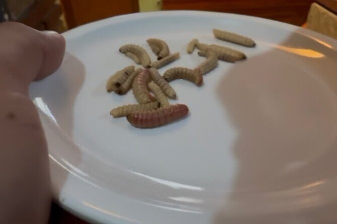 After the footsteps of Nacho Libre in Oaxaca - Authenticity and cultural insights