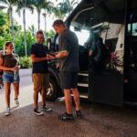 Afternoon Daintree Tour with River Cruise from Port Douglas - Pricing and Value