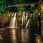 Afternoon & Evening Tour of Paronella Park - What to Expect from the Tour