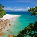 Afternoon Fitzroy Island Escape  Return Ferry Included - Practical Aspects of the Tour