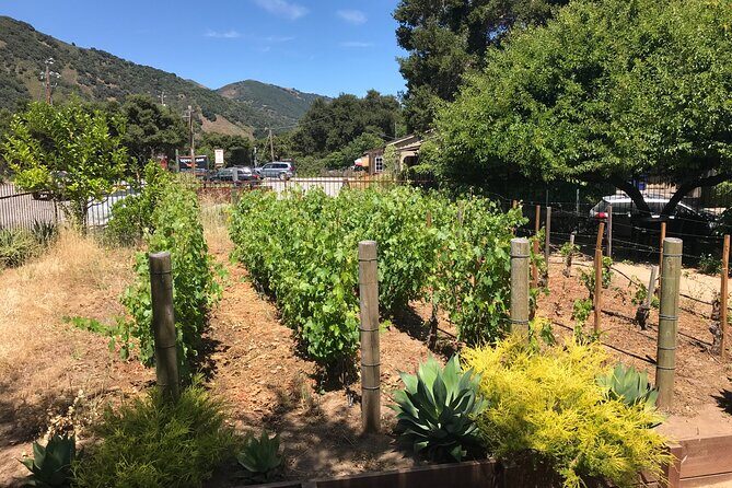 Afternoon Half-day Carmel Valley Wine Tasting Tour - Final Thoughts