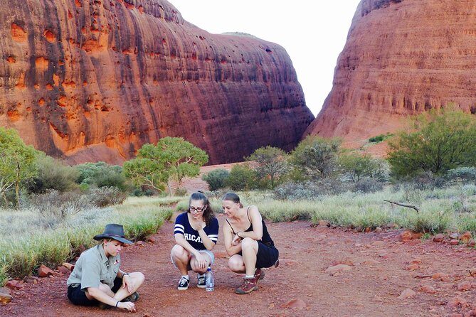 Afternoon Kata Tjuta Small Group Tour - The Practical Side: What’s Included and What’s Not