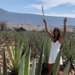 Agave Adventures Mexico - What to Expect: Practical Details