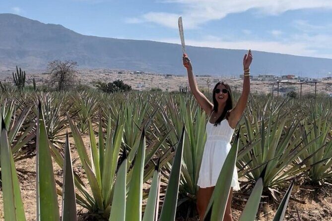 Agave Adventures Mexico - What to Expect: Practical Details