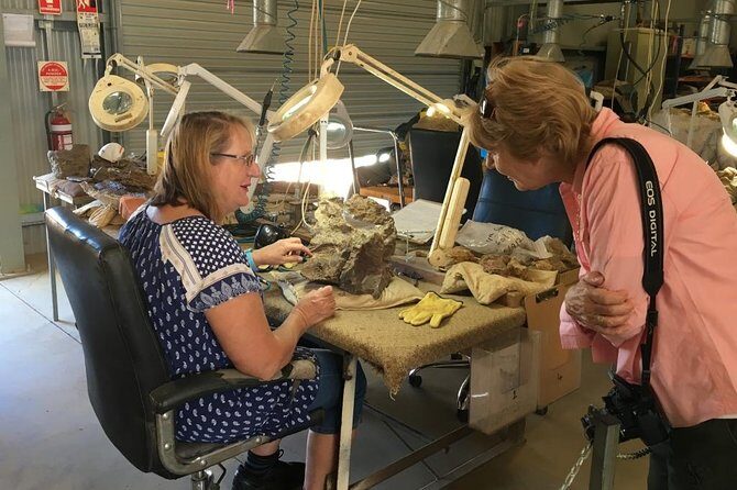 Age of Dinosaurs Museum Half Day Guided Transfer from Winton - Is This Tour Worth the Price?