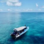 Agnes/1770: Southern Great Barrier Reef Snorkelling Day Trip - Transportation, Group Size, and Overall Value