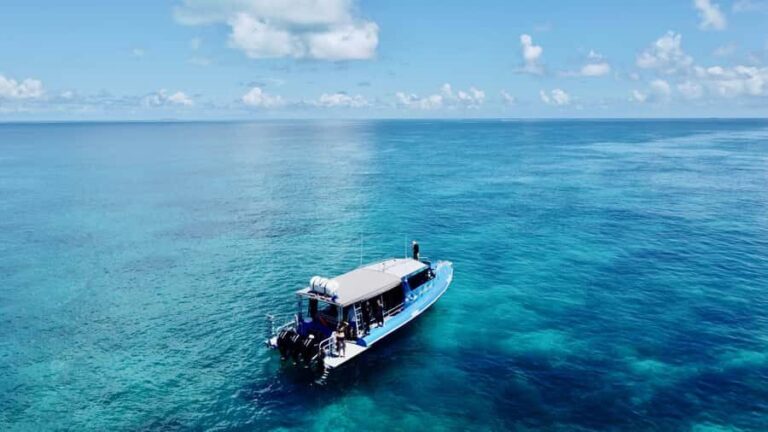 Agnes/1770: Southern Great Barrier Reef Snorkelling Day Trip - Transportation, Group Size, and Overall Value