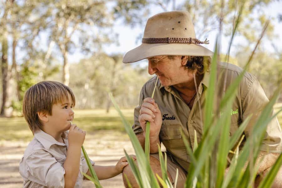 Agnes Water: BushTracks Eco Tour with local guide - Who Will Love This Tour?