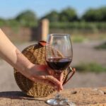 Aguascalientes: Magical Town and Winery Tour - Who Will Love This Tour?