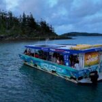 Airlie Beach Glass Bottom Boat Guided Night Tour - Authentic Insights from Reviewers