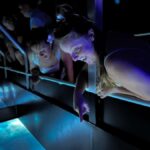 Airlie Beach: Glass-Bottom Boat Night Tour - Who Will Love This Tour?