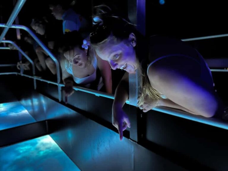 Airlie Beach: Glass-Bottom Boat Night Tour - Who Will Love This Tour?