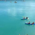 Airlie Beach: Half Day Turtle Tour Sea Kayaking Adventure - What’s Included and What to Bring