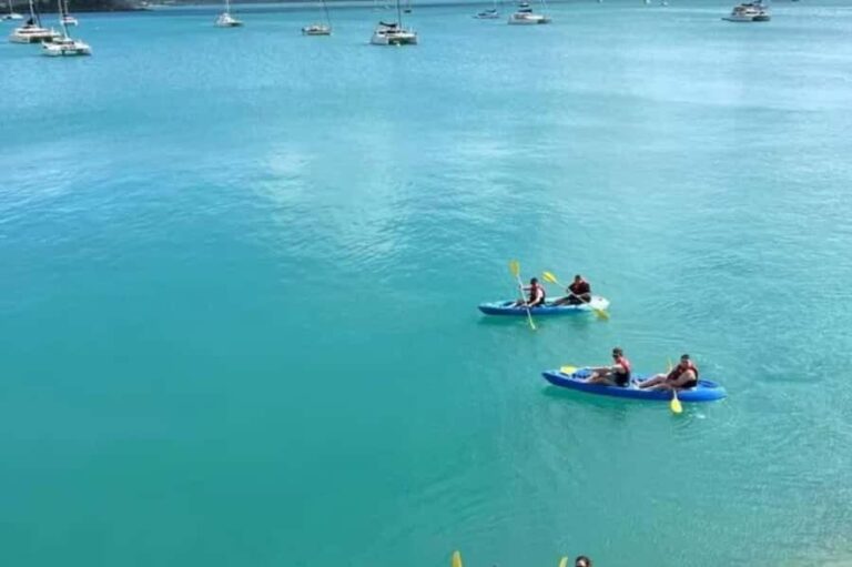Airlie Beach: Half Day Turtle Tour Sea Kayaking Adventure - What’s Included and What to Bring