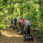 Airlie Beach: Segway Rainforest Discovery Tour - The Route & Highlights