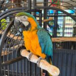 Airlie Beach: Sightseeing Bus Tour - Exploring the Itinerary: What to Expect at Each Stop